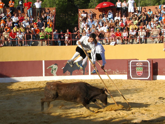 Viveros - JungleKey.fr Image