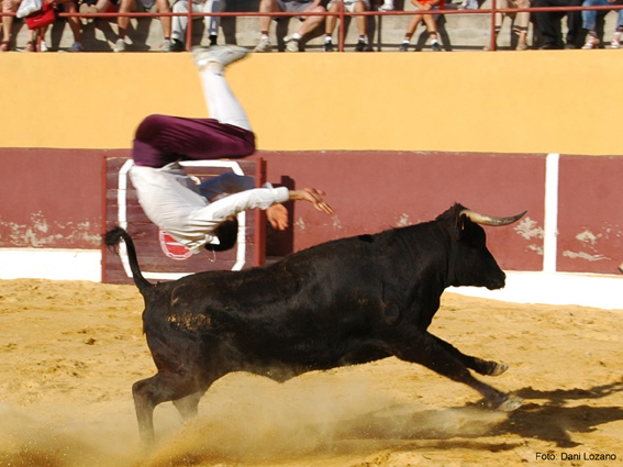 Viveros - JungleKey.fr Image